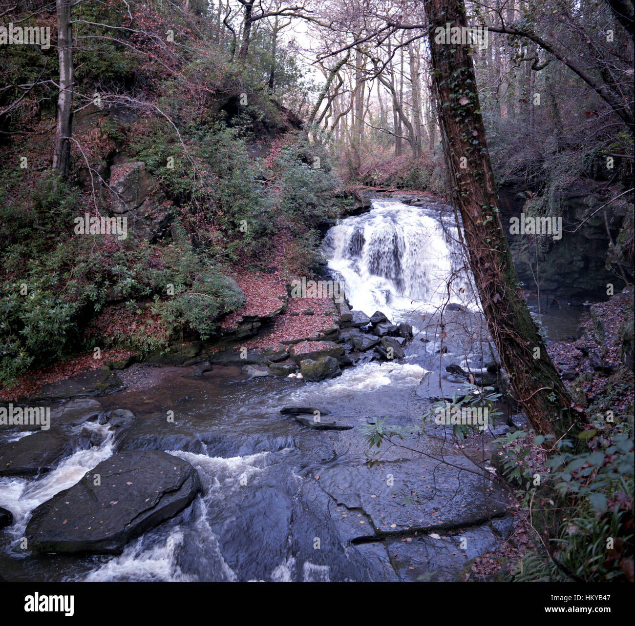 River clydach hi-res stock photography and images - Alamy