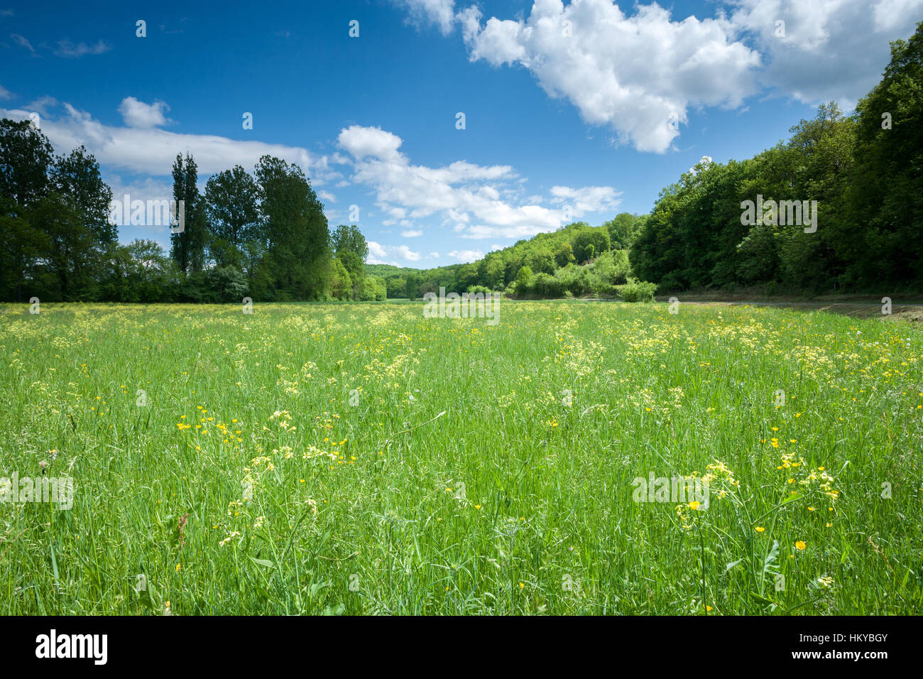 Countryside location hi-res stock photography and images - Alamy