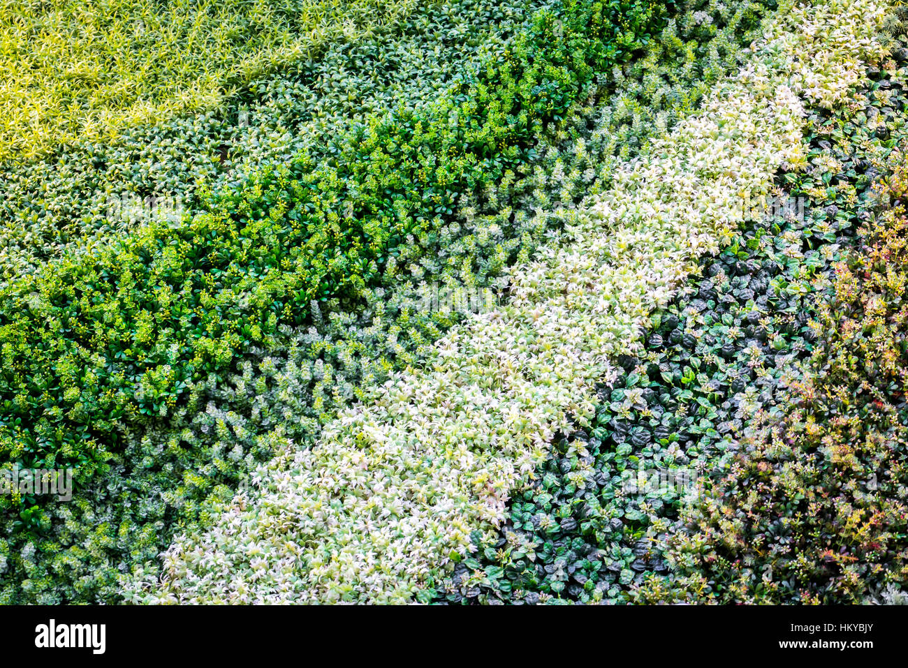 Multicolor artificial grass Stock Photo - Alamy