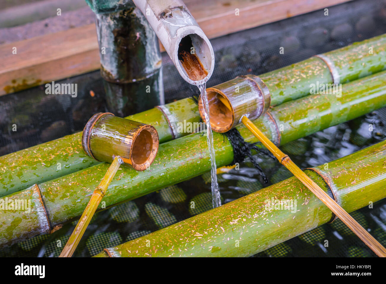 Bamboo Water Pipe Stock Photos & Bamboo Water Pipe Stock Images - Alamy