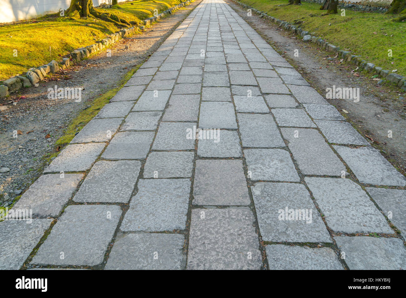The Walk path in the park with green grass Stock Photo - Alamy
