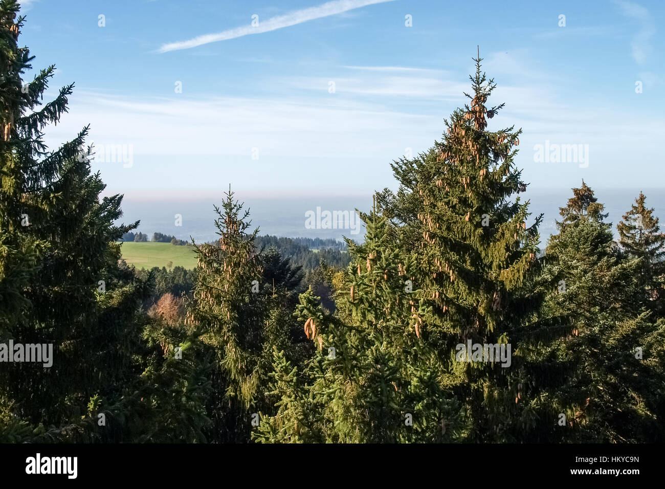 Scheidegg - Germany: Skywalkpark. panoramic view of the Alps from the ...