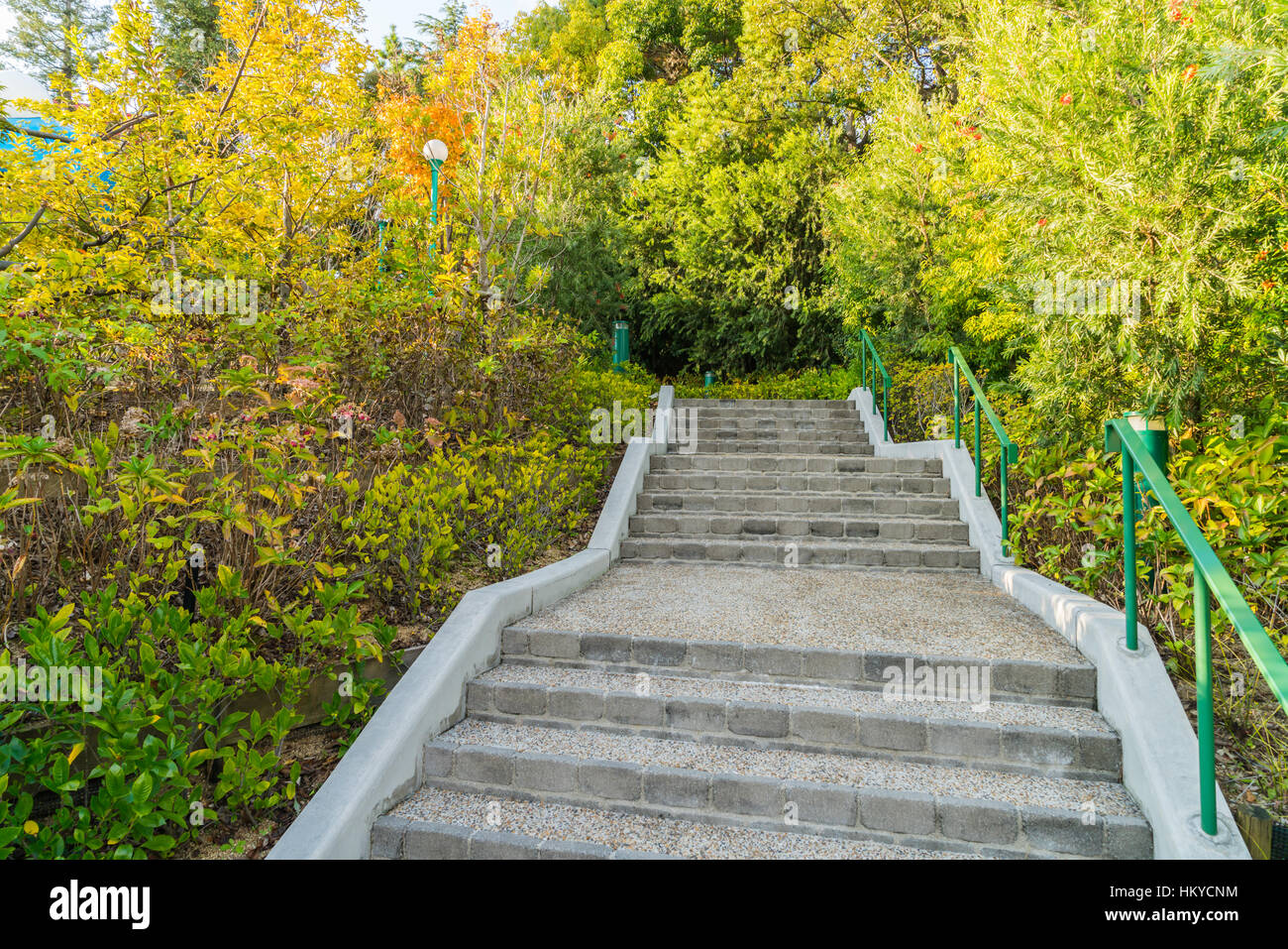 Way in forest Stock Photo - Alamy
