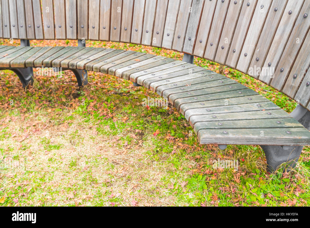 Wooden bench in the park Stock Photo - Alamy