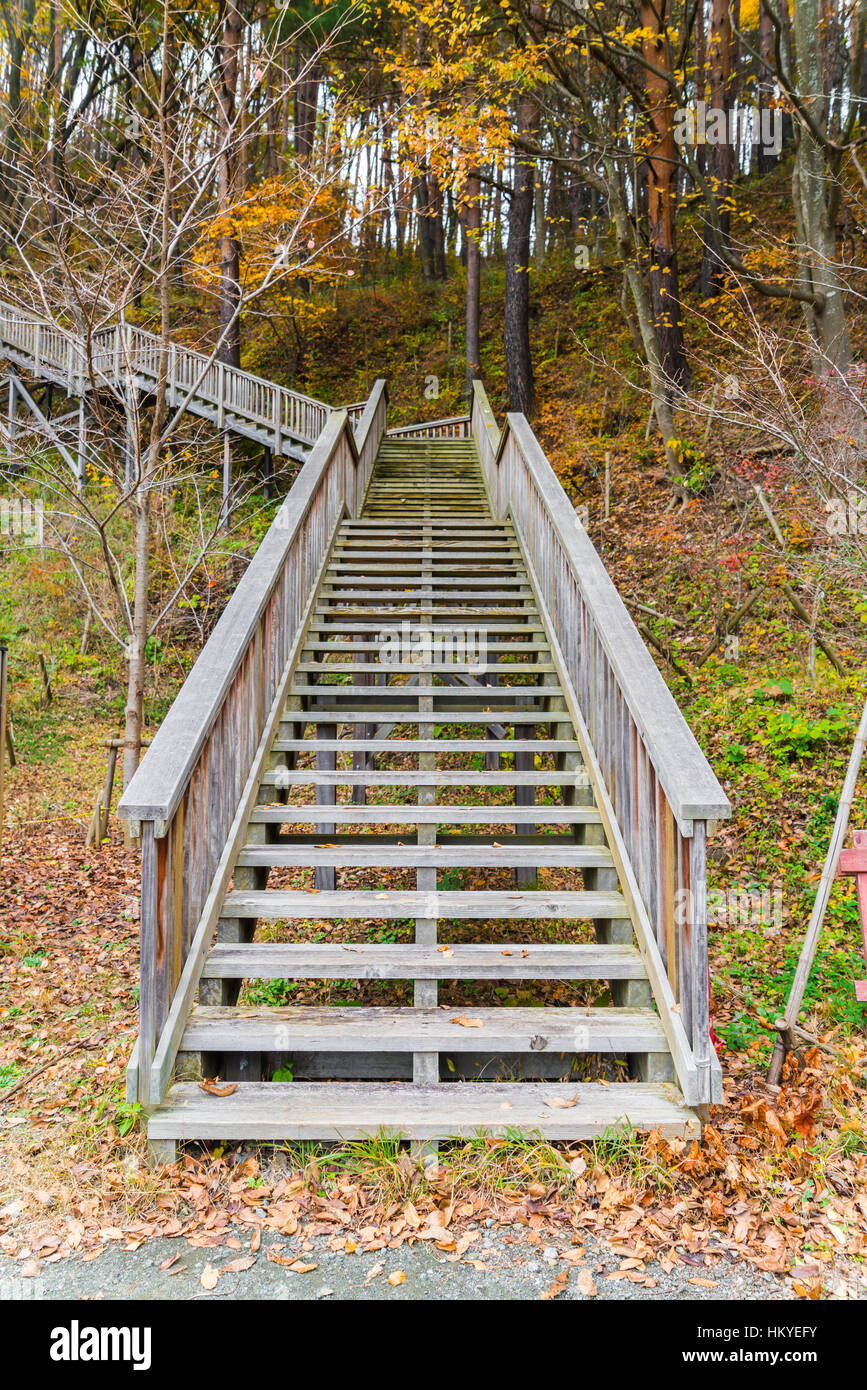 Wooden staircase in park Stock Photo - Alamy