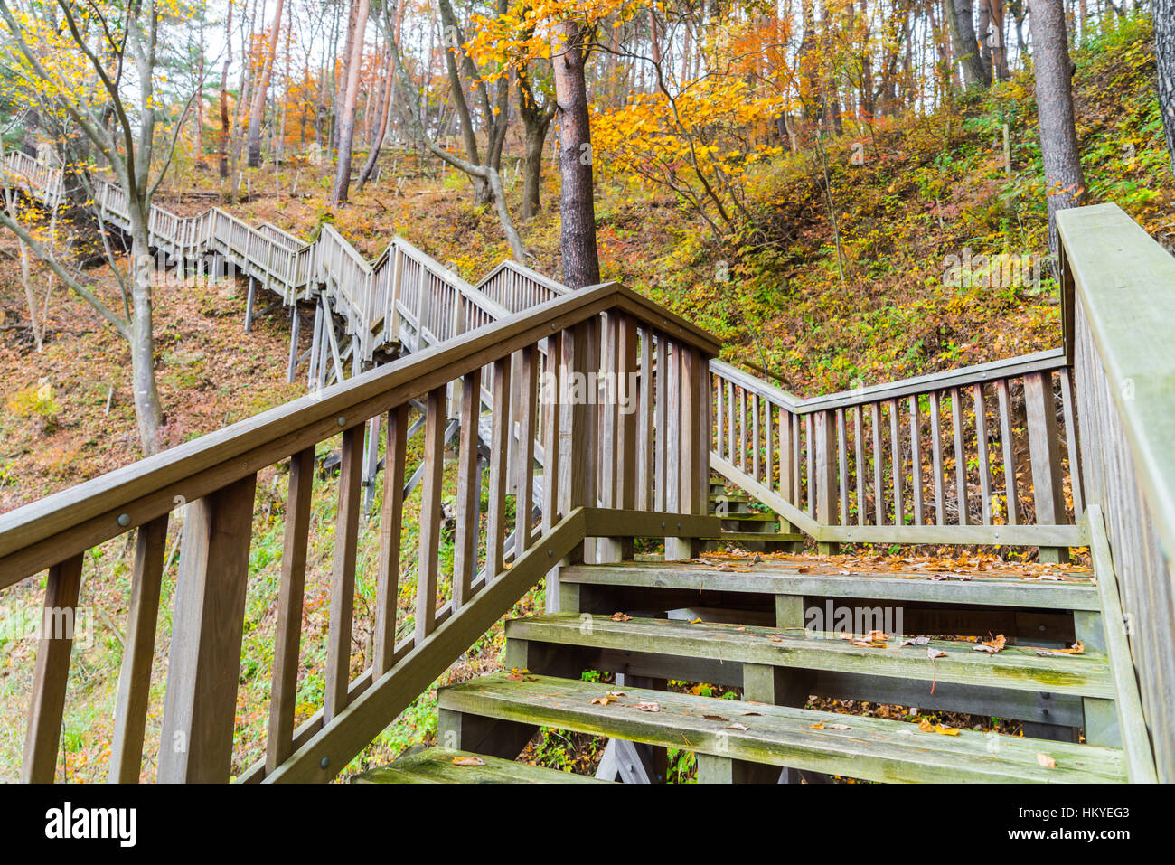 Wooden staircase in park Stock Photo - Alamy