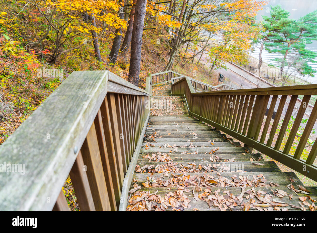 Wooden staircase in park Stock Photo - Alamy