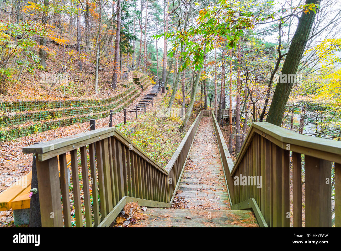 Wooden staircase in park Stock Photo - Alamy