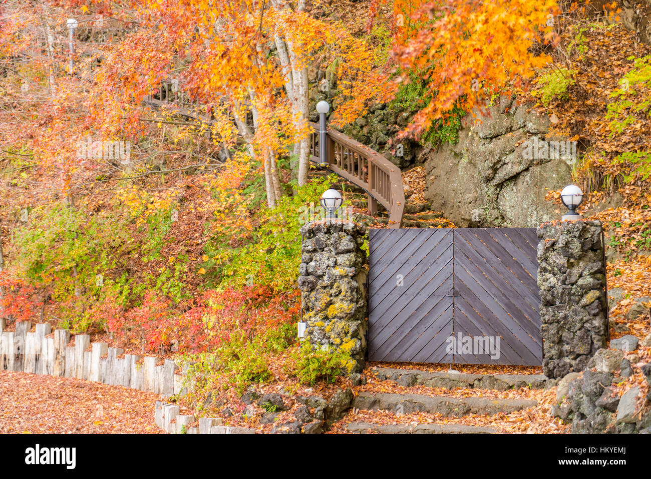 Beautiful Colorful Autumn Leaves Stock Photo - Alamy