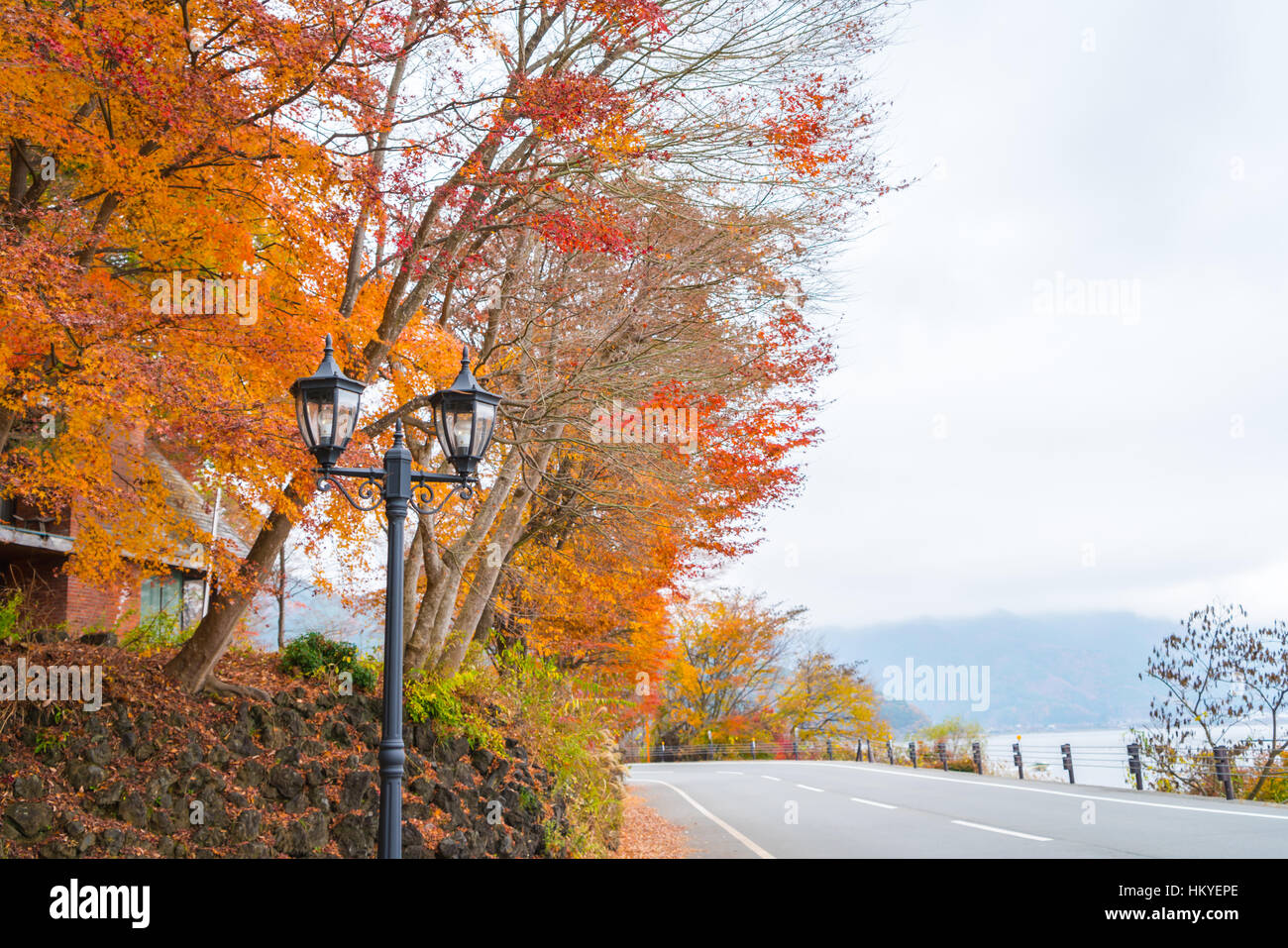 Beautiful Colorful Autumn Leaves Stock Photo - Alamy