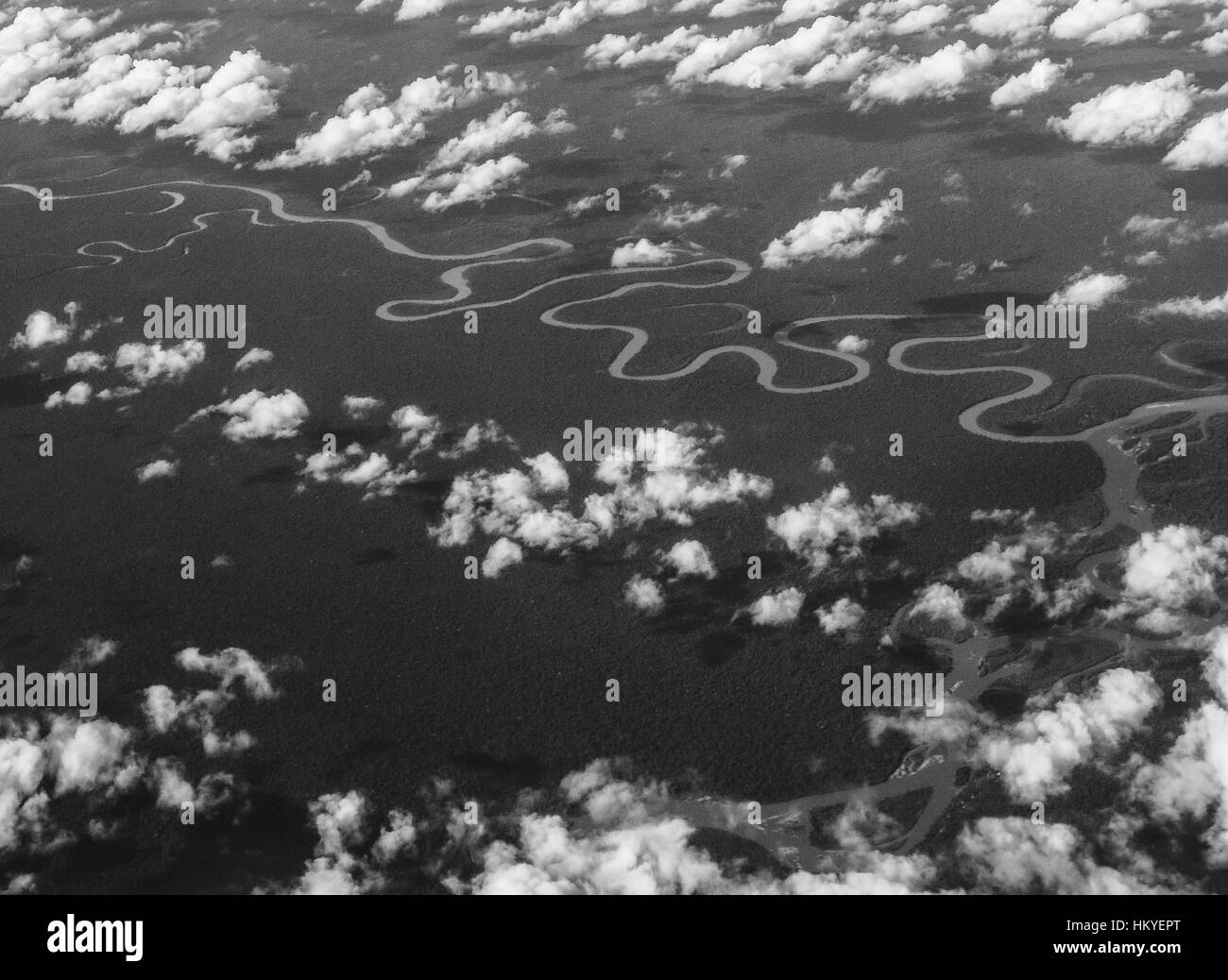 Amazon Jungle in Peru. Photos captured while on a jungle trip to the ...