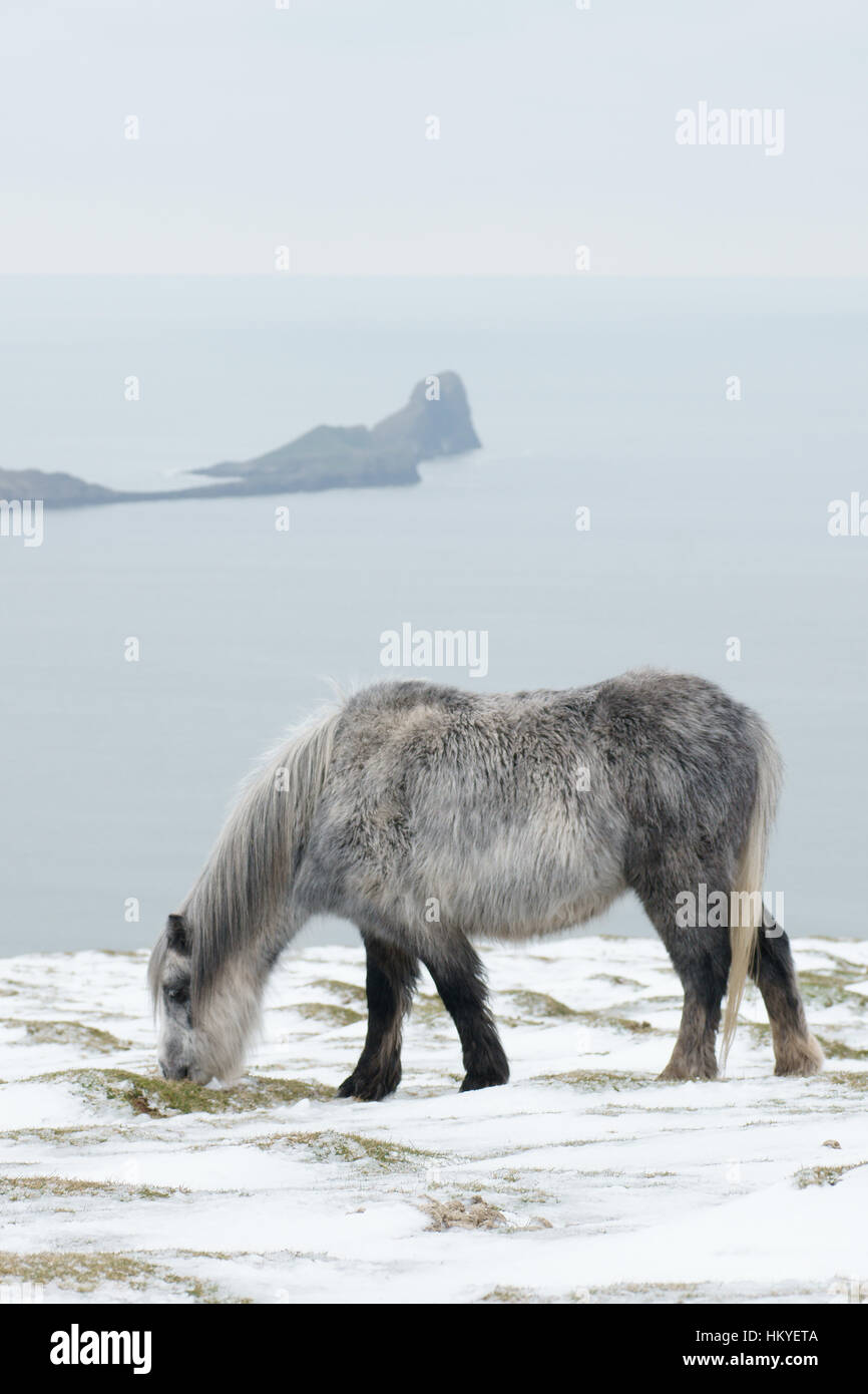Gower peninsula snow hi-res stock photography and images - Alamy