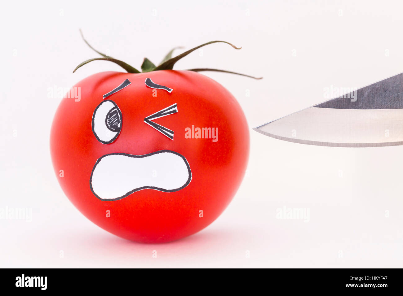 A fresh red tomato scared from a sharp knife in front of white ...