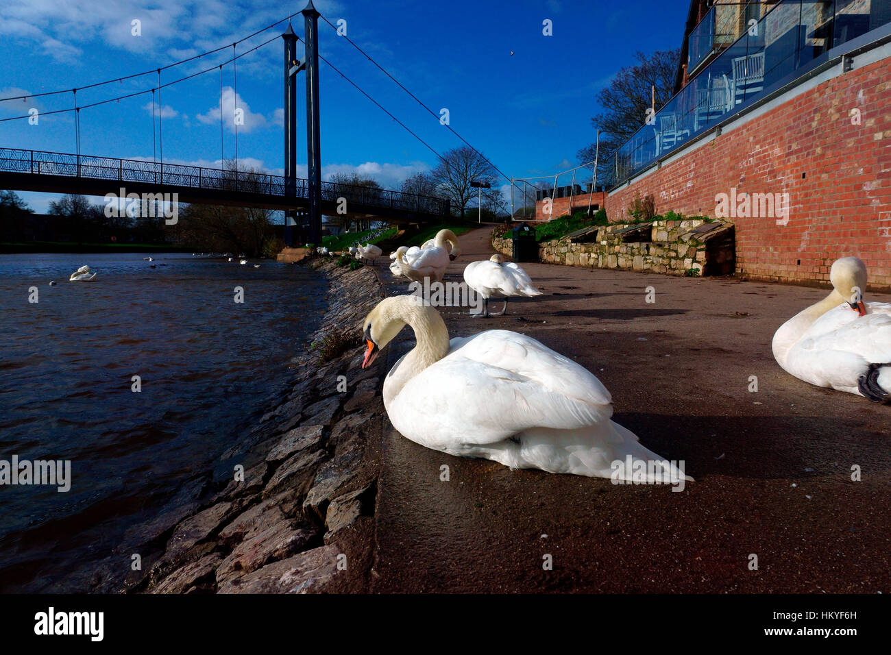 Quay side devon water side river hi-res stock photography and images ...