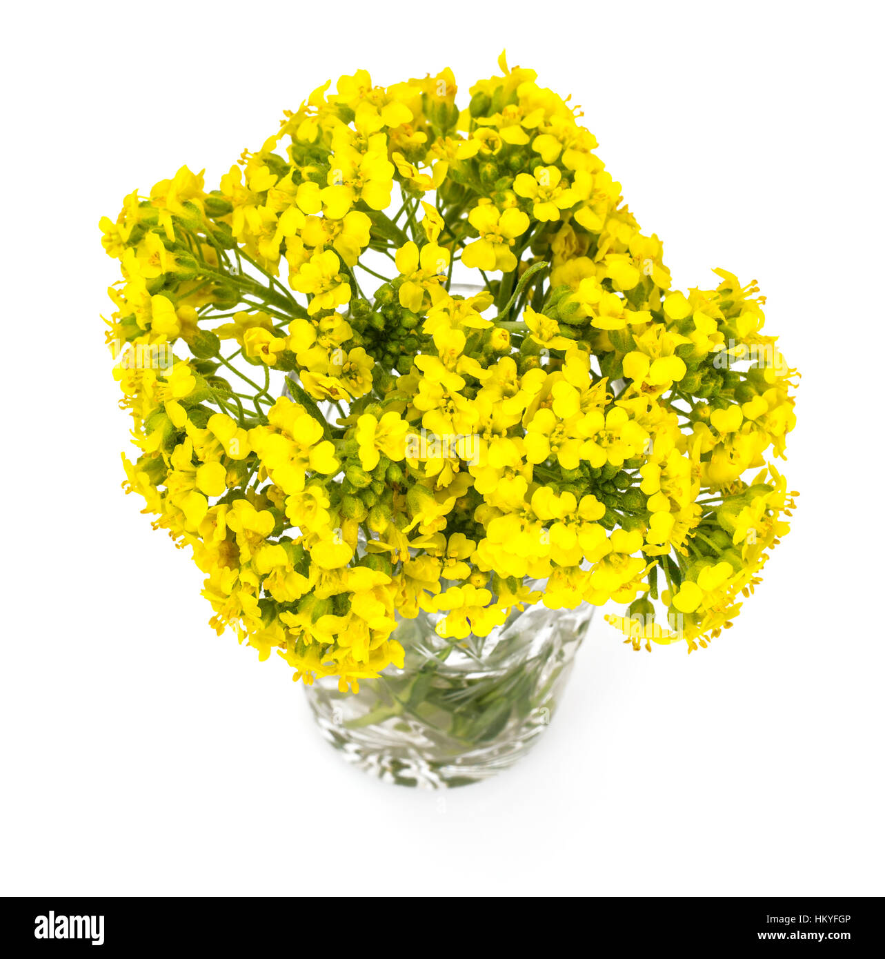 Bouquet with yellow flowers Stock Photo - Alamy