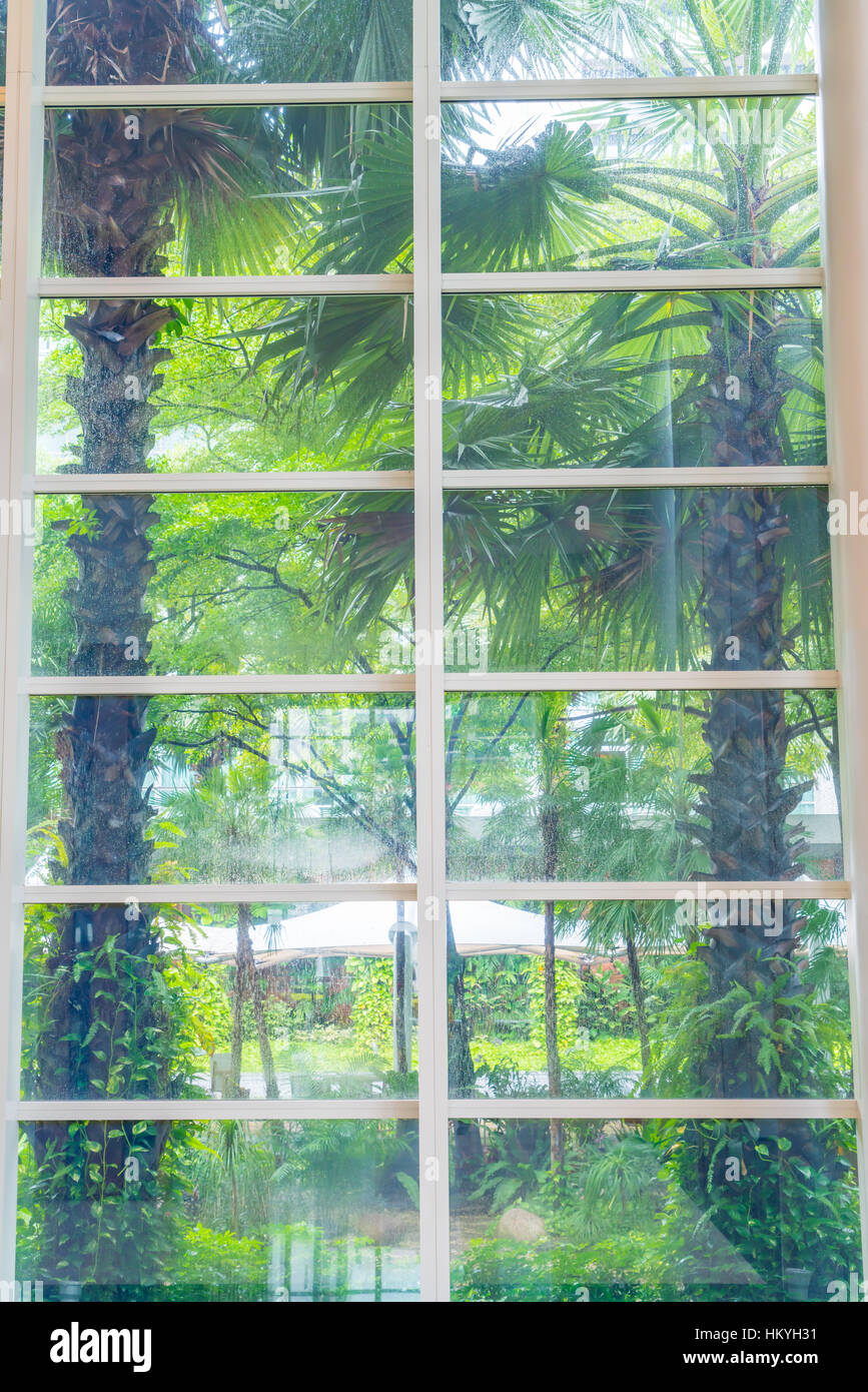 Glass window overlooking green garden Stock Photo - Alamy