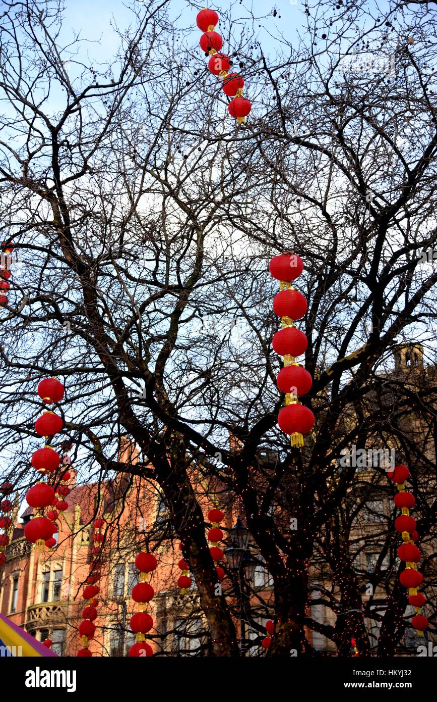 Chinese Lantern Tree Stock Photos & Chinese Lantern Tree Stock Images ...