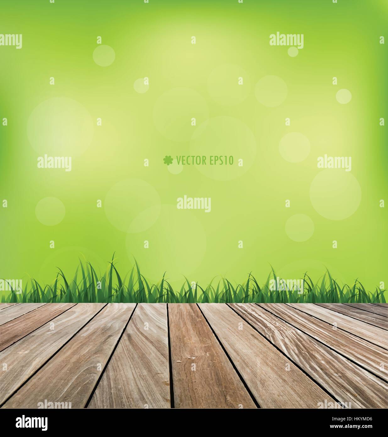 Yard beetle Stock Vector Images - Alamy