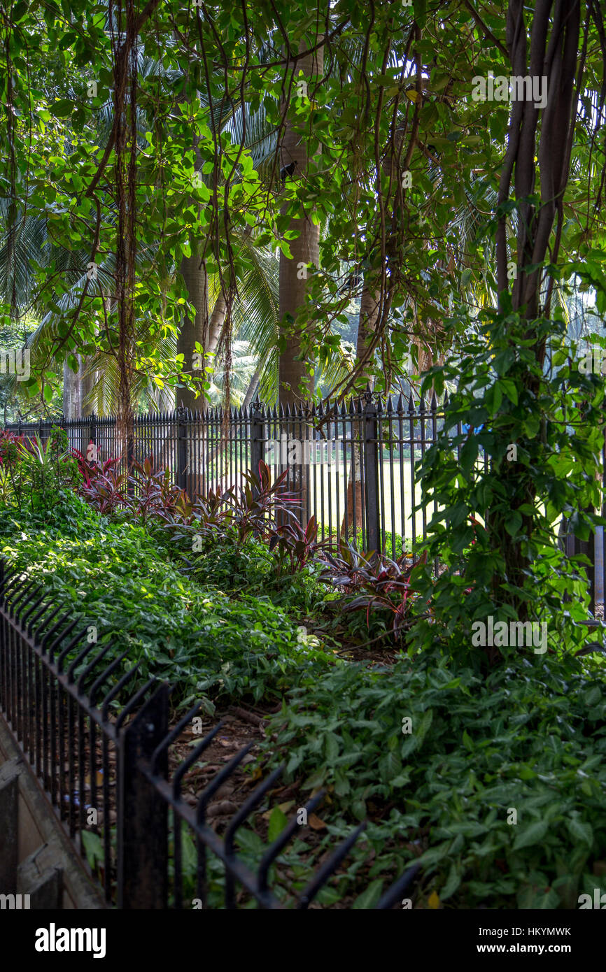 View at Oval Maidan in Mumbai, India Stock Photo - Alamy