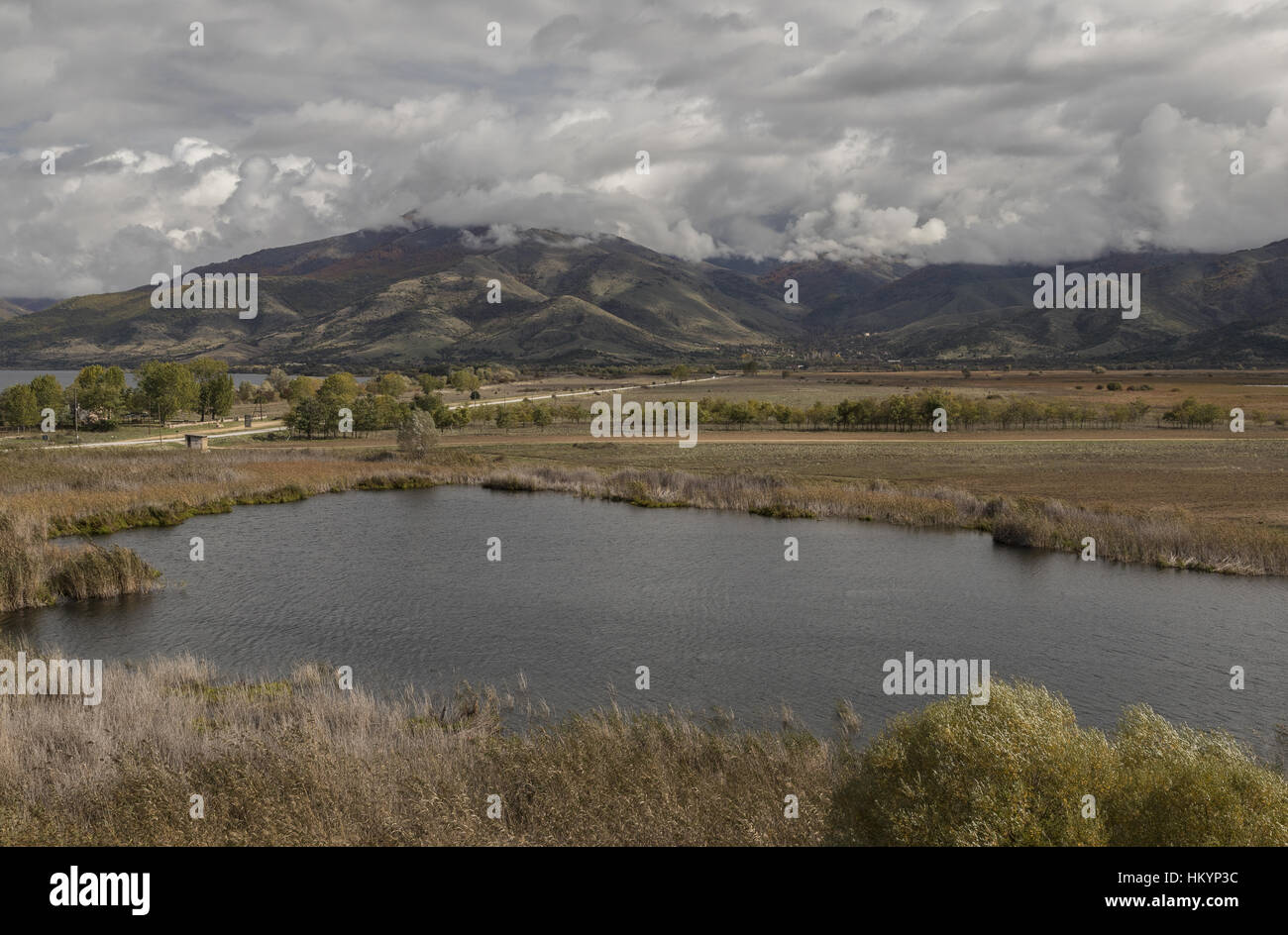 Mikri Prespa lake and reedbeds, Prespa Lakes National Park, in autumn ...