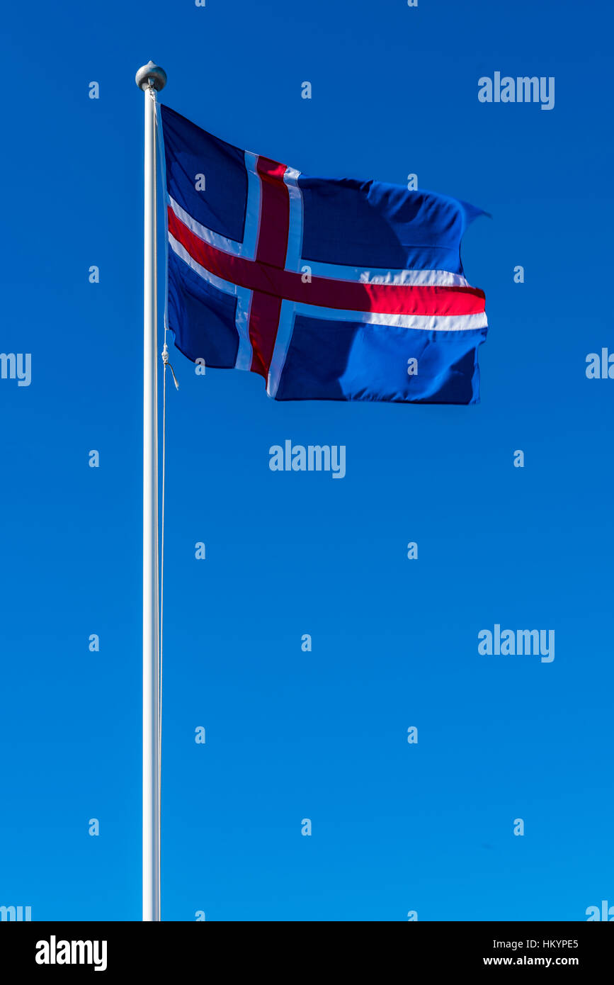 Icelandic flag waving in the wind with blue sky Stock Photo - Alamy
