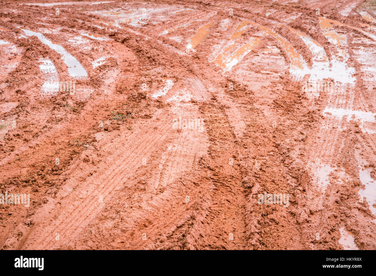 Mud road after the rain Stock Photo - Alamy