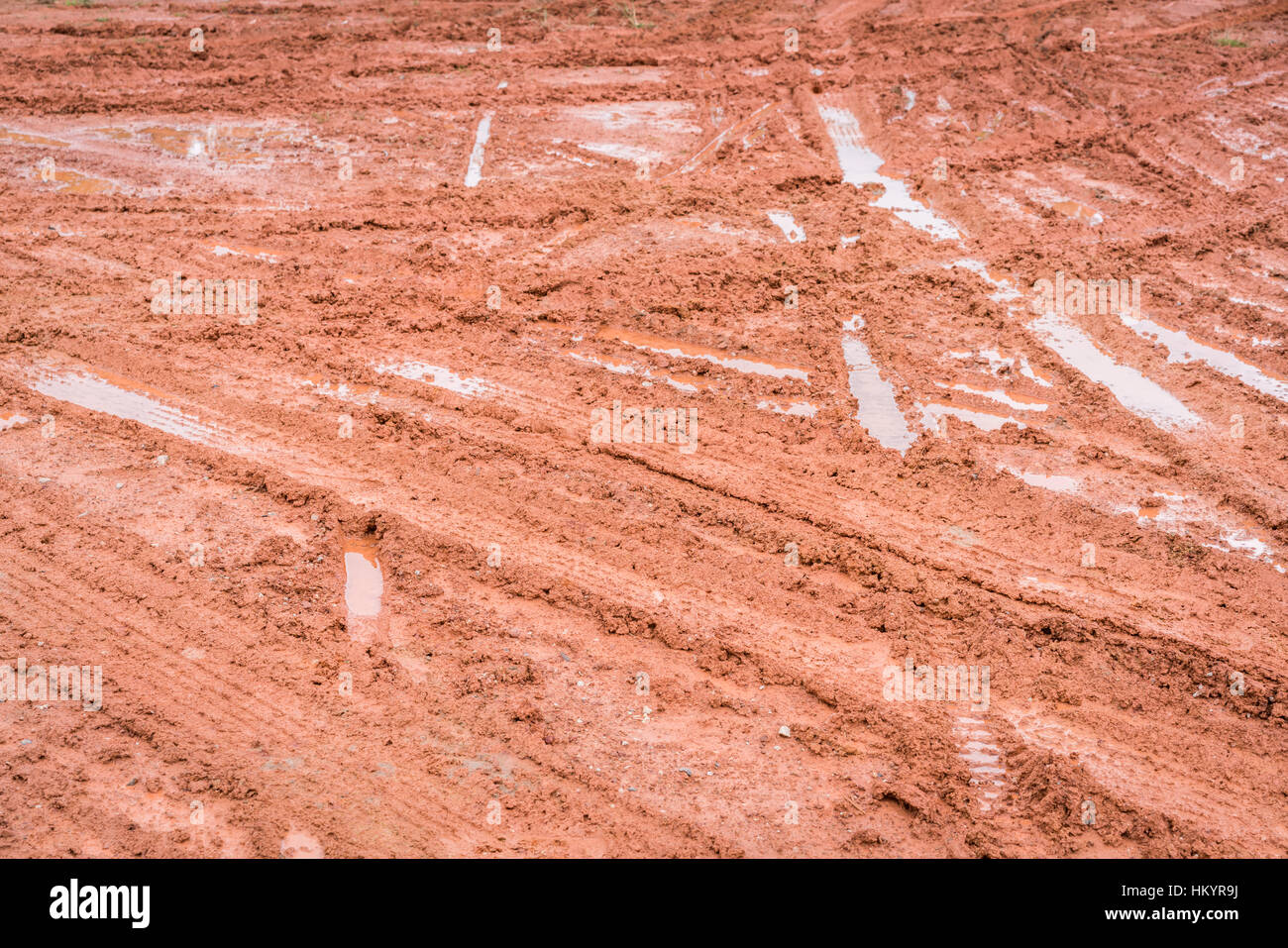 Mud road after the rain Stock Photo - Alamy