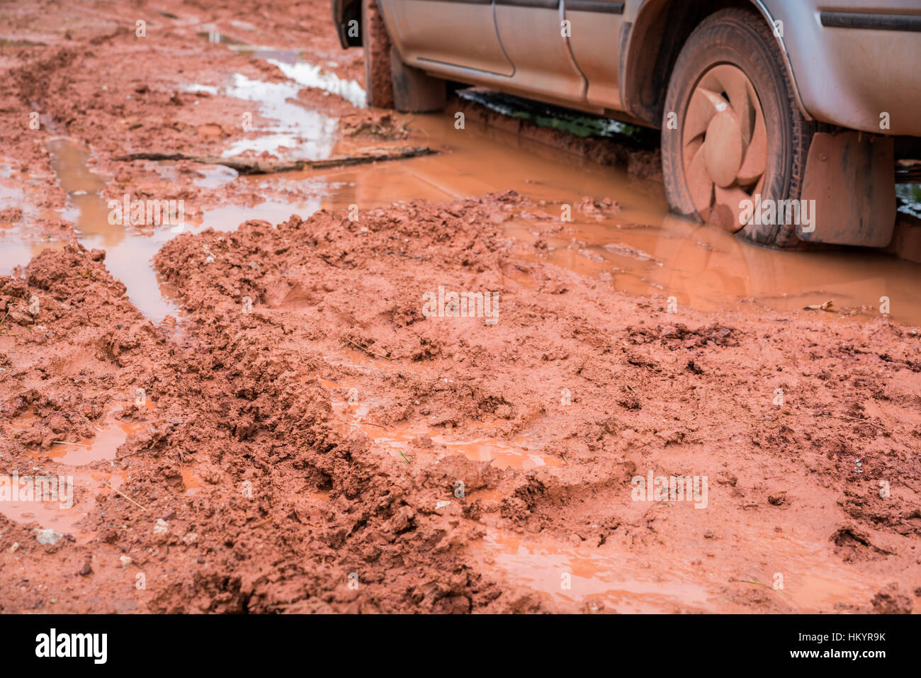 Mud road after the rain Stock Photo - Alamy