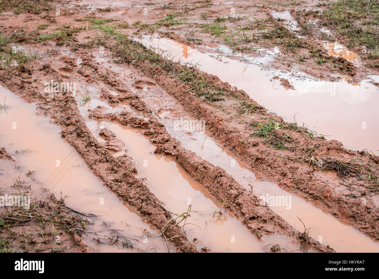 Muddy puddle rut blue hi-res stock photography and images - Alamy