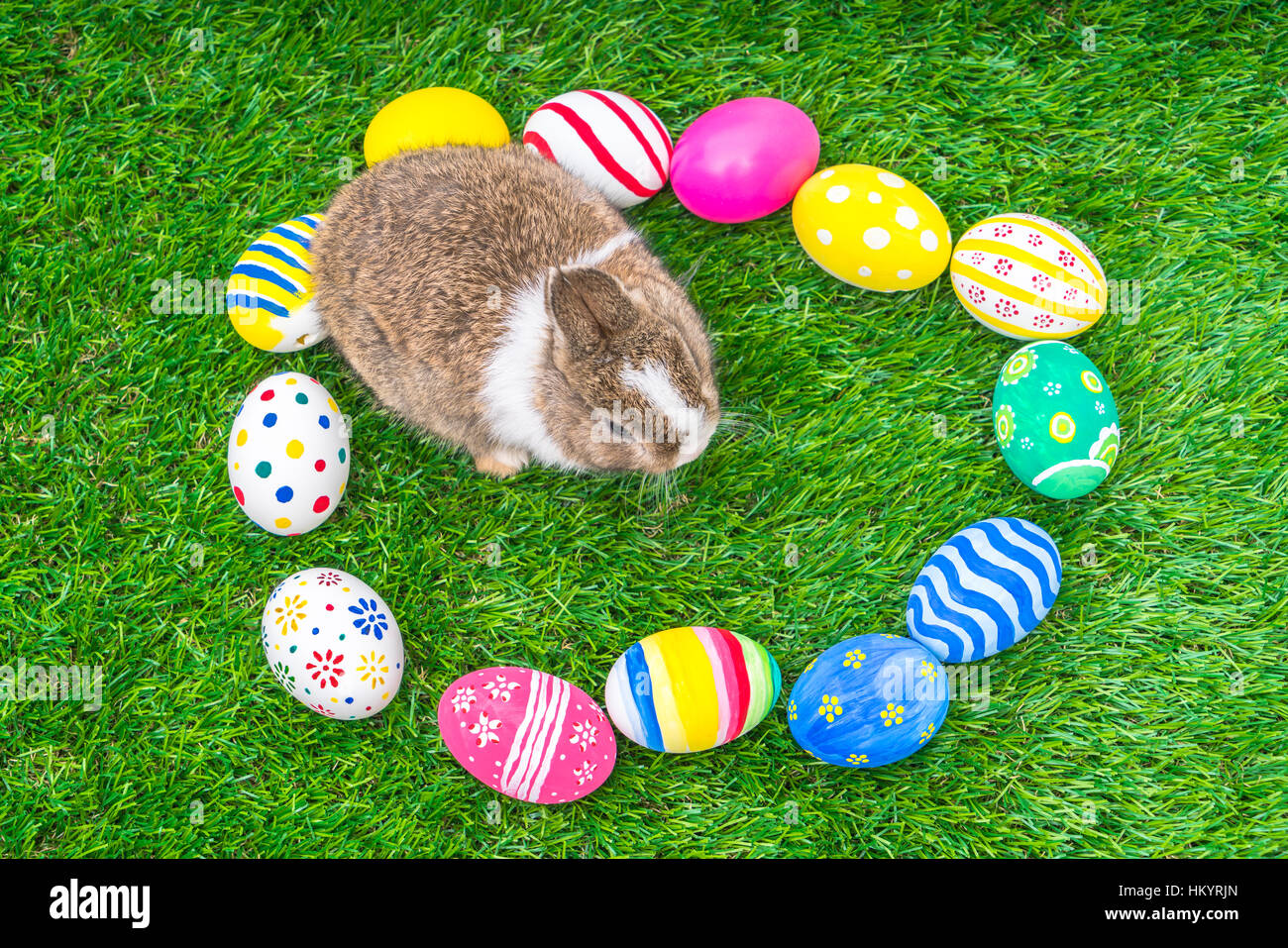 Rabbit and easter eggs in green grass Stock Photo - Alamy