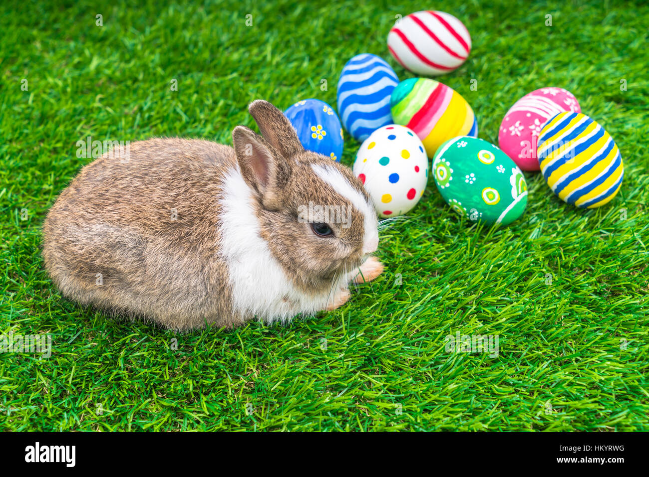 Rabbit and easter eggs in green grass Stock Photo - Alamy
