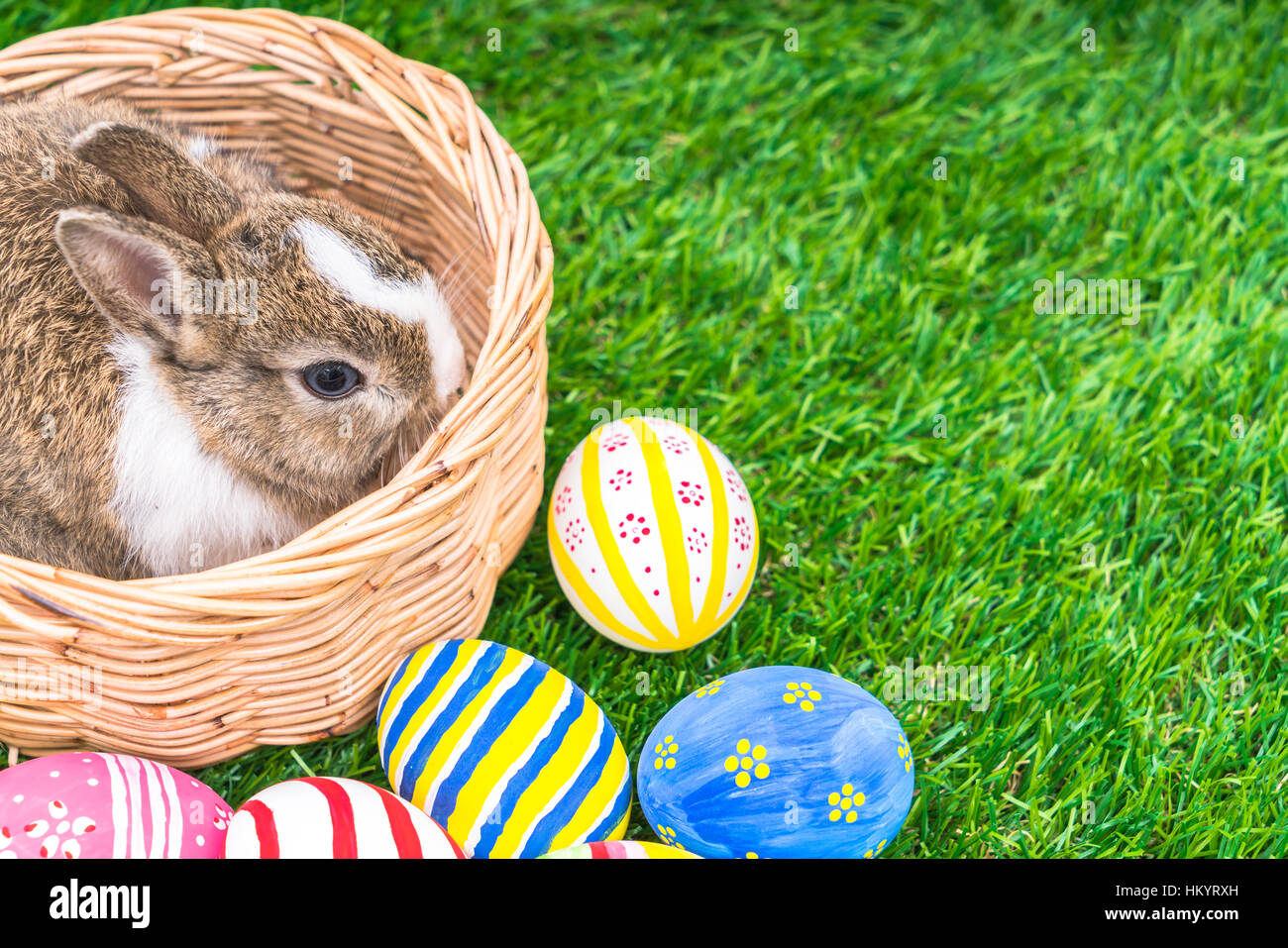 Rabbit and easter eggs in green grass Stock Photo - Alamy
