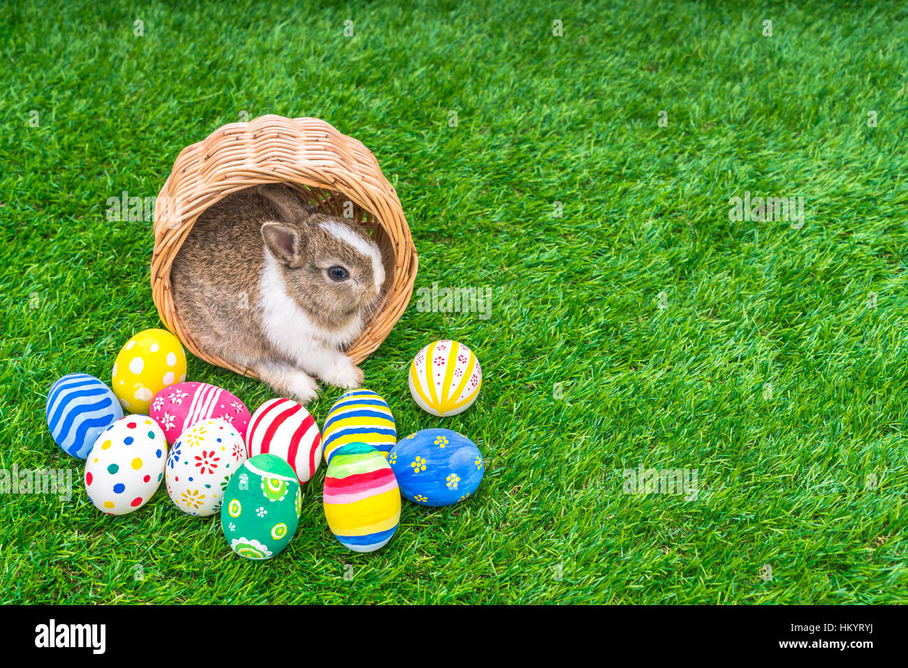 Rabbit and easter eggs in green grass Stock Photo - Alamy