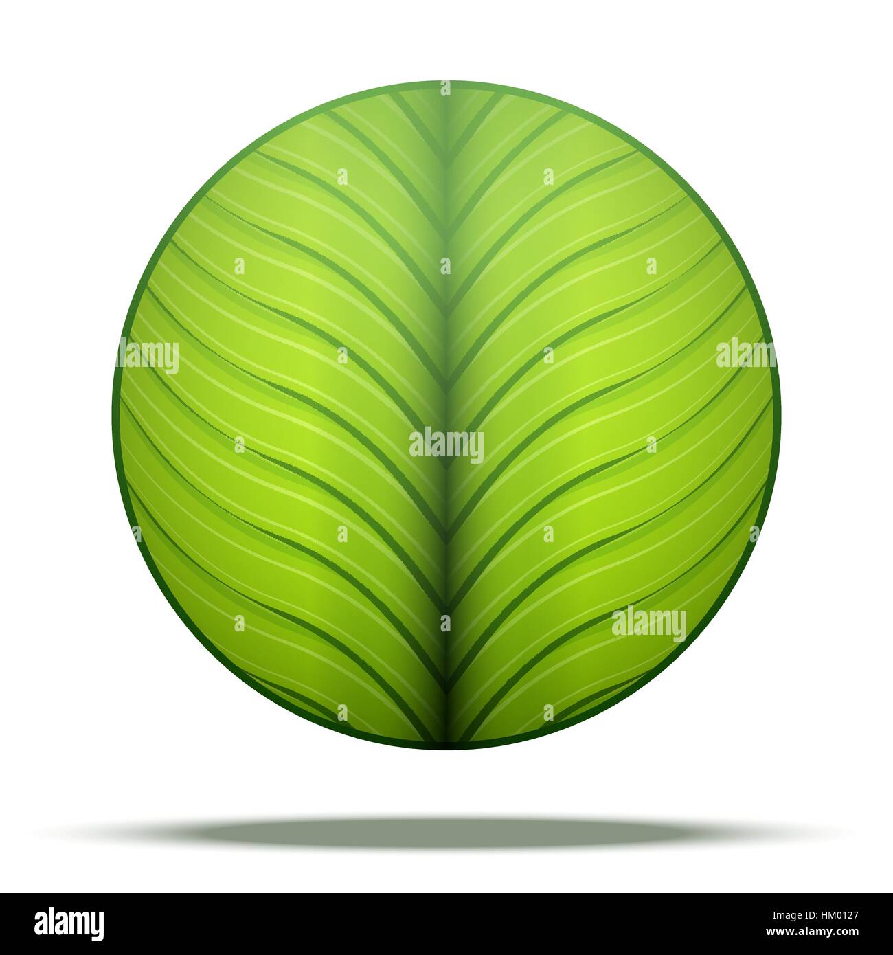 Leaves round Icon Vector Stock Vector Image & Art - Alamy