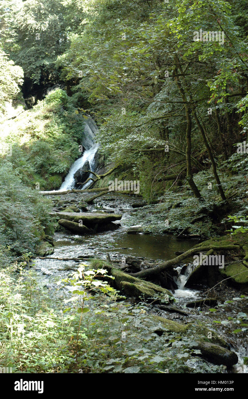 waterfall cascading over rocks into quiet stream with surrounding ...