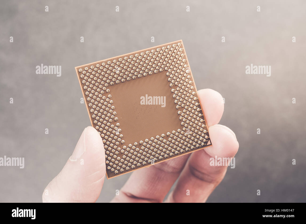 male hand holding microprocessor package - backside view Stock Photo ...