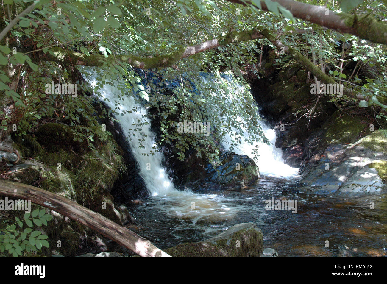 Twin waterfalls into rocky pool with overhanging trees Stock Photo - Alamy