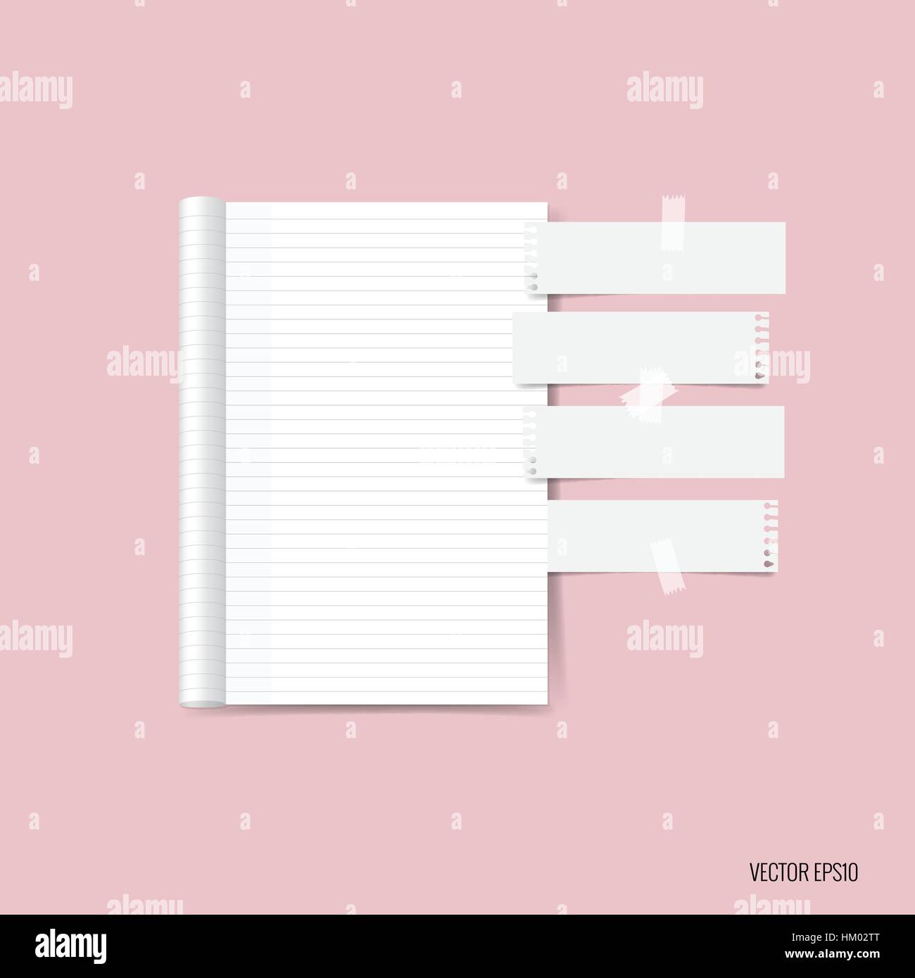 Blank catalog, magazines,book mock up and white note papers. Vector ...