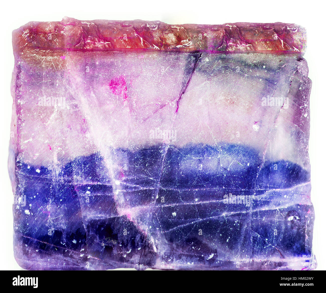 Coloration specific hi-res stock photography and images - Alamy