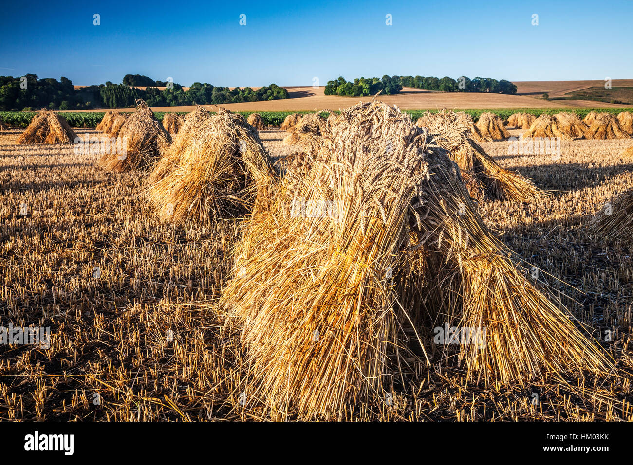 Traditional farming method hi-res stock photography and images - Alamy
