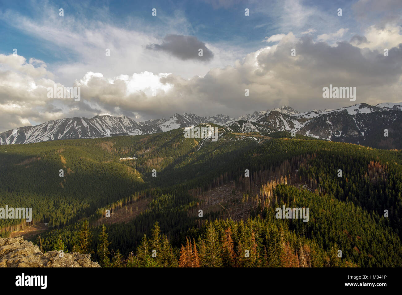 Spring landscape in the Tatra Mountains Stock Photo - Alamy