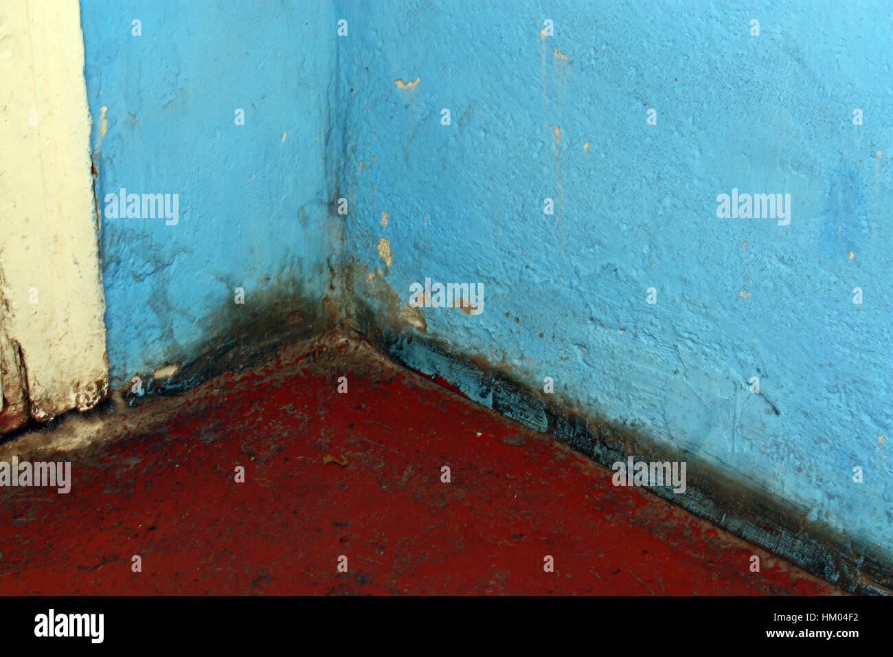 Dangerous mold fungus on the wall in a room near a door at home Stock ...