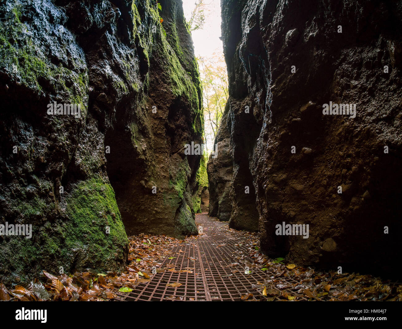 Dragon canyon near Wartburg in Germany II Stock Photo - Alamy
