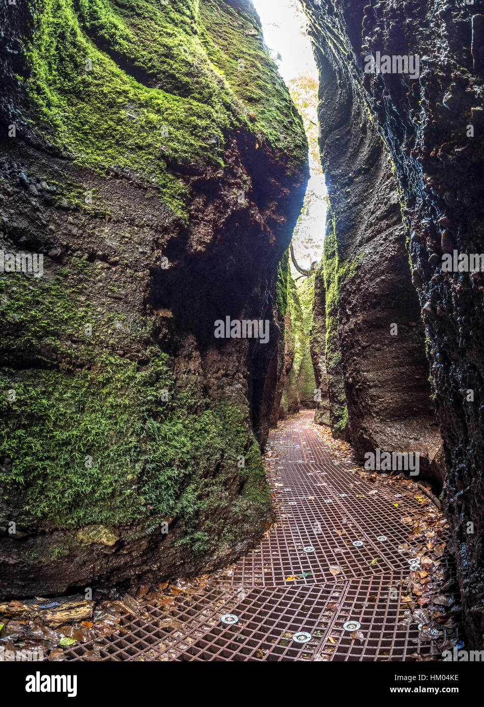 Dragon canyon near Wartburg in Germany IV Stock Photo - Alamy