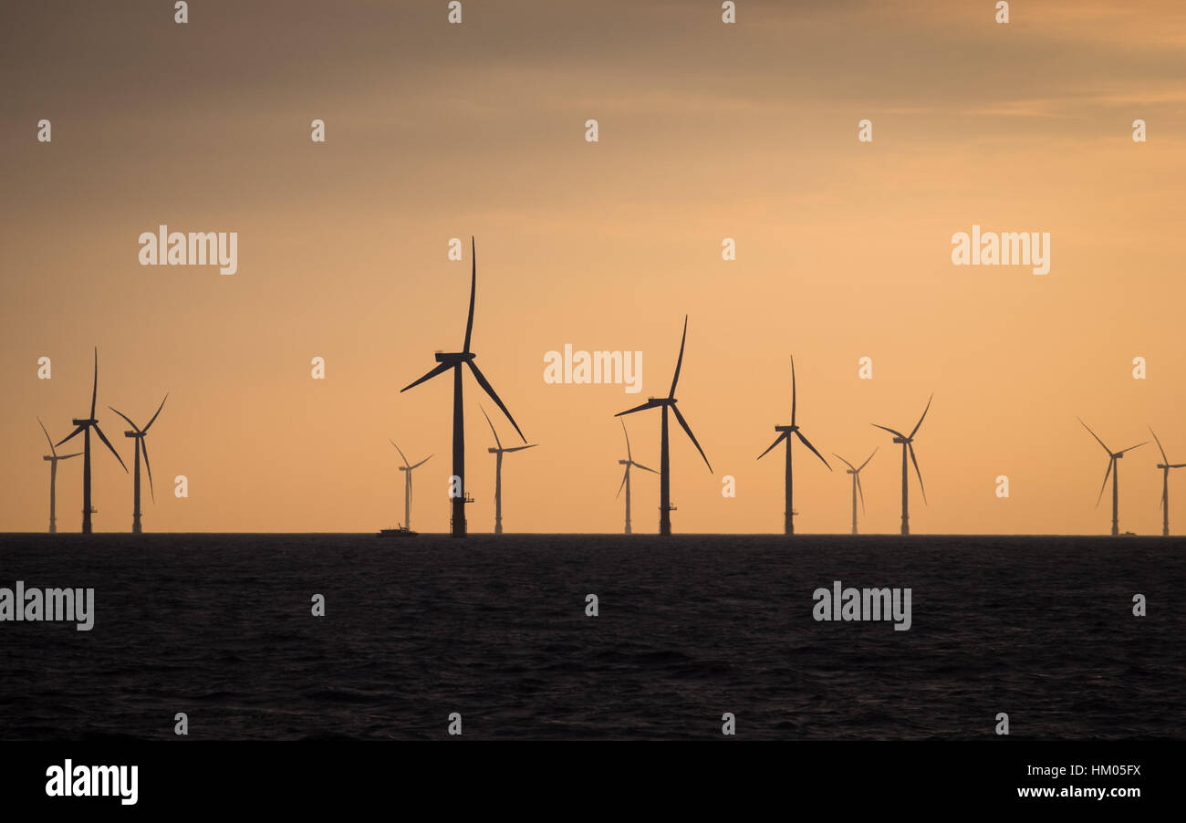 Turbines on the Lincs Offshore Wind Farm, off the coast of Skegness ...