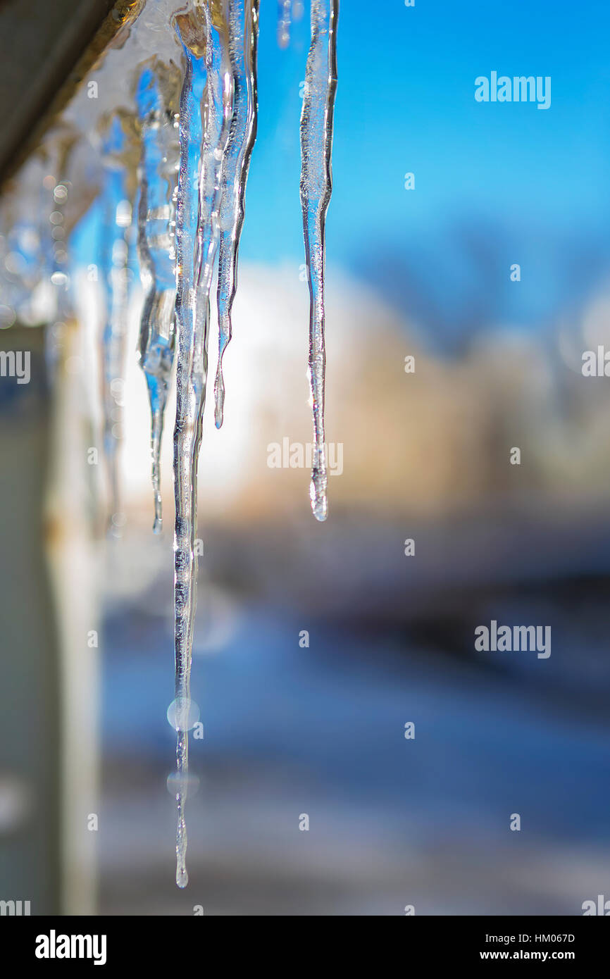 Effects of winter thaw frozen stream of melt water hanging from the ...