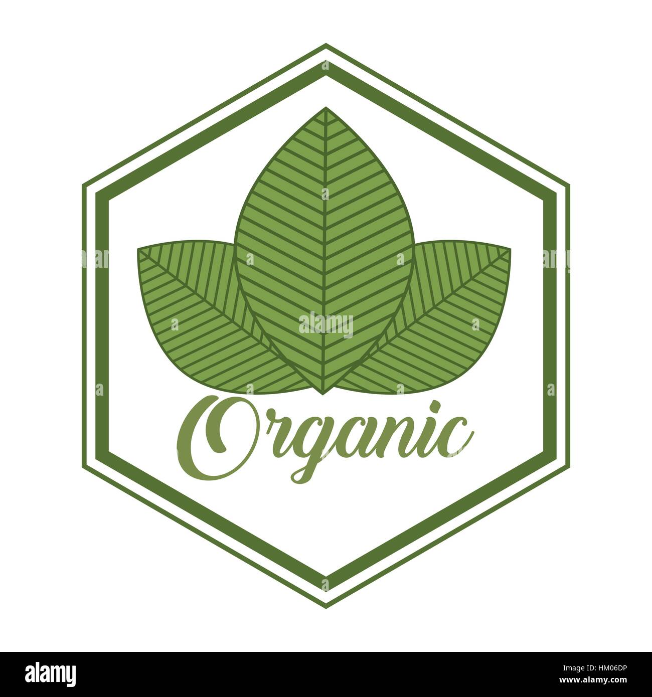 emblem of organic product with leaves icon over white background ...