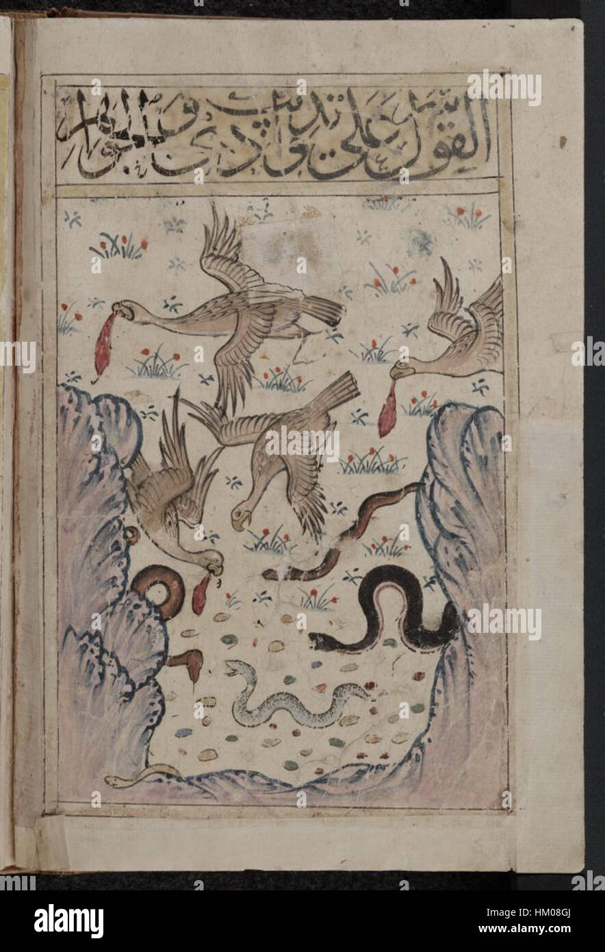 Al bulhan hi-res stock photography and images - Alamy