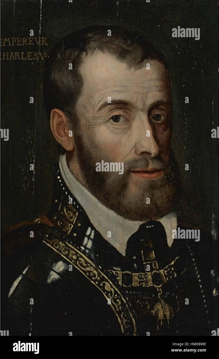 This iconic portrait of Holy Roman Emperor Charles V, painted by Titian ...