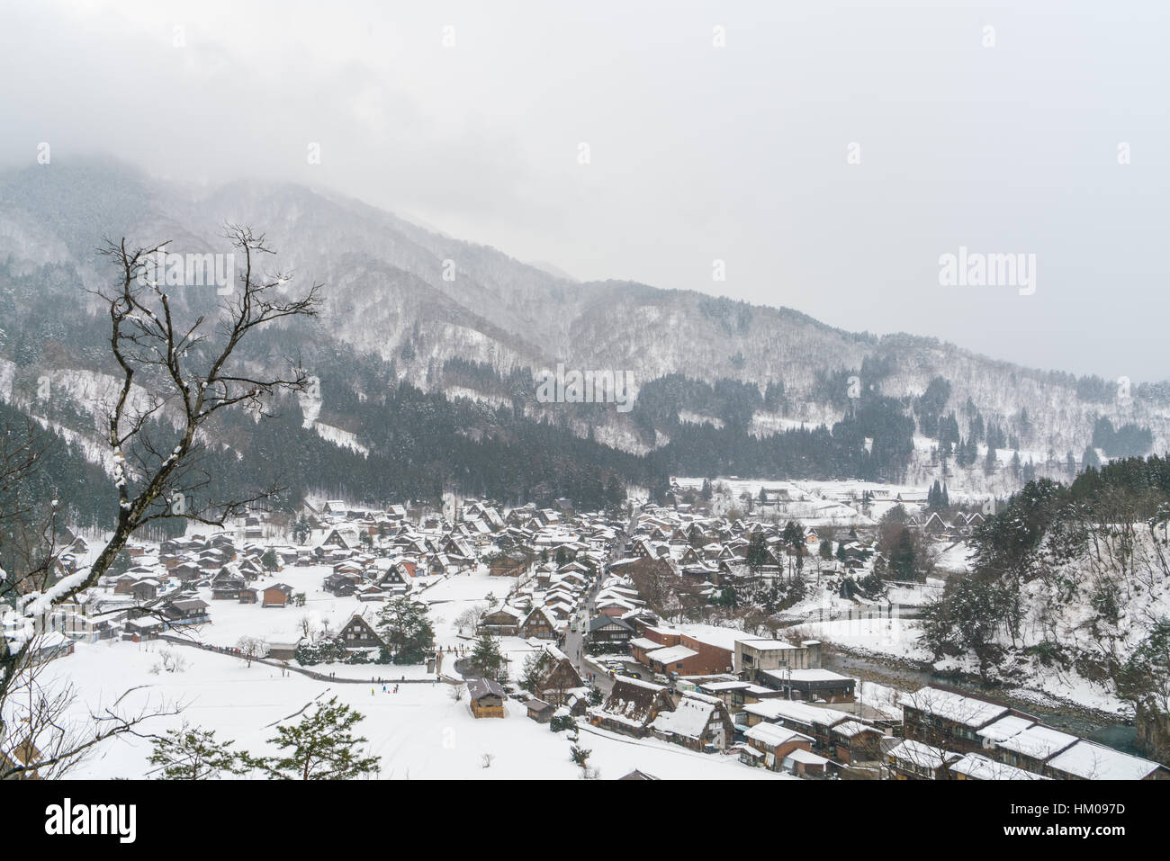 Winter Of Shirakawago with snow falling , Japan Stock Photo - Alamy